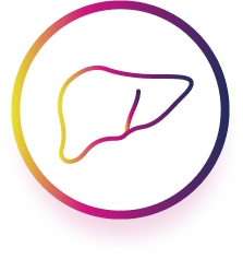 What is OGSIVEO? | OGSIVEO™ (nirogacestat) Patient Site